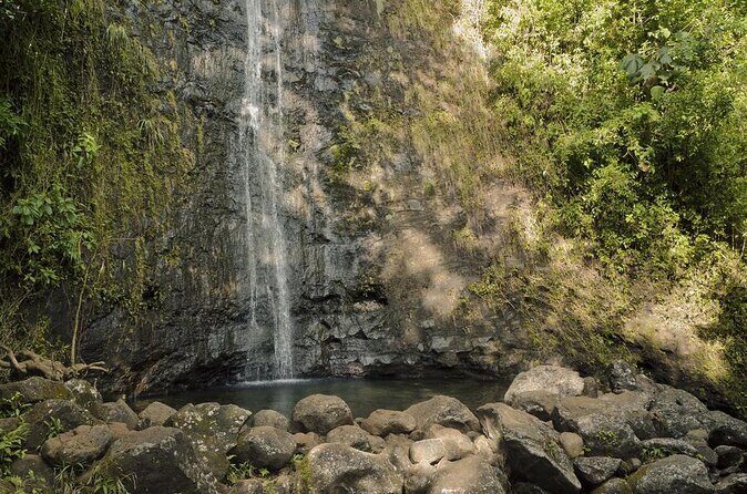 Manoa Falls-Electric Bike to Hike Experience Local meal included - Discover the Manoa Falls-Electric Bike to Hike Experience
