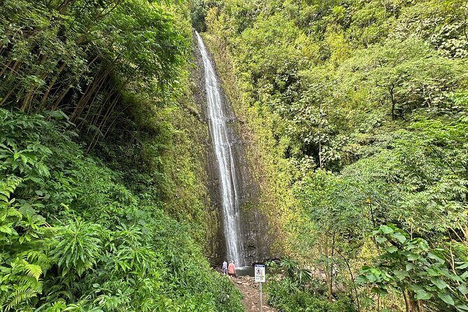Manoa Falls-Electric Bike to Hike Experience Local meal included - The Itinerary in Detail