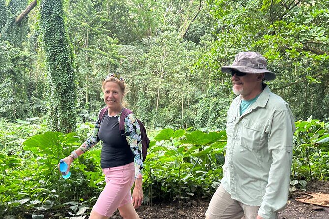 Manoa Falls-Electric Bike to Hike Experience Local meal included - Final Thoughts