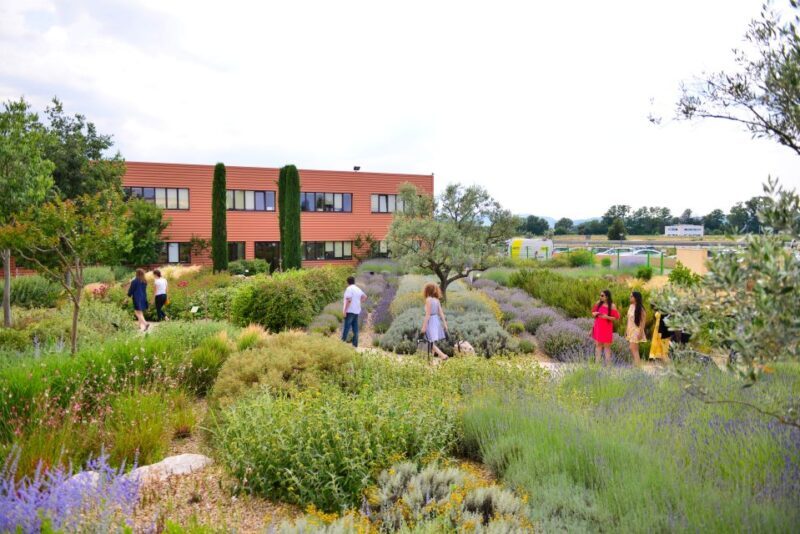 Manosque: L'Occitane en Provence Guided Factory Tour - An Authentic and Practical Tour of Provences Iconic Brand