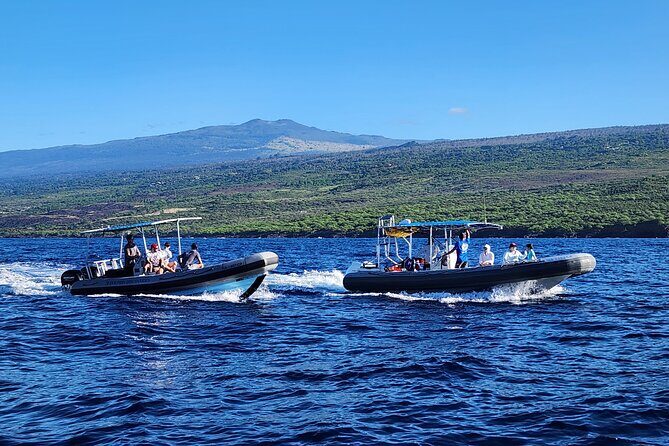 Manta Ray Night Snorkel at Kona, Big Island - Practical Tips for a Great Experience