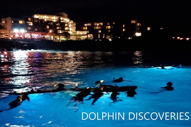 Manta Ray Night Snorkel at Kona, Big Island - FAQ