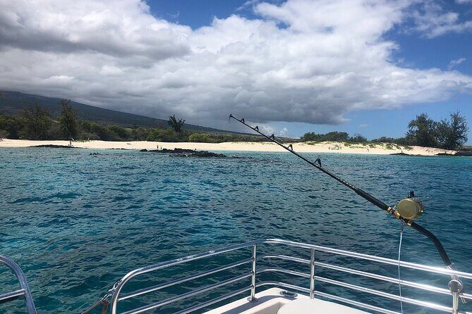 Manta Ray Night Snorkel in Kona - Authentic Experiences from Travelers
