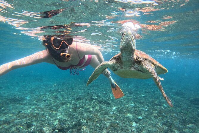 Manta Ray Snorkeling From Bali - FAQ