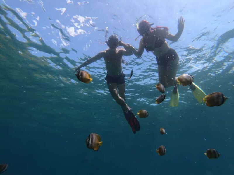 Manta Tour in Nusa Lembongan and Nusa Penida - Who Is This Tour Best For?