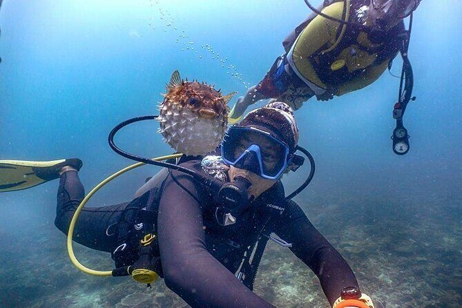 Mantanani Island Diving Paradise Tour from Kota Kinabalu - Exploring the Itinerary in Detail