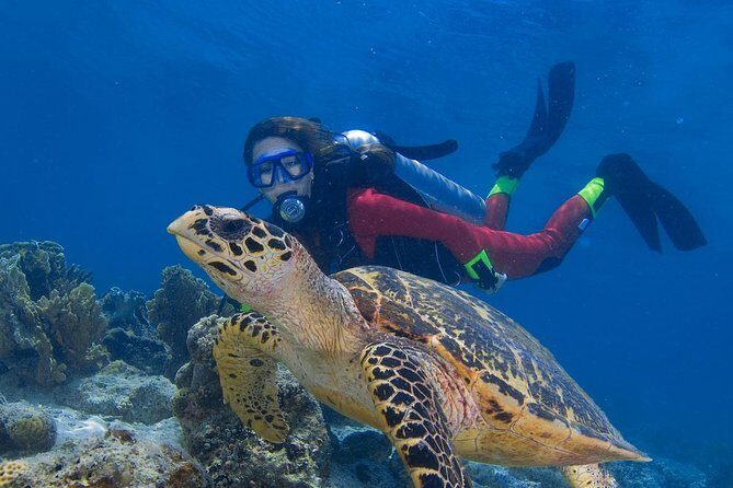 Mantanani Island Diving Paradise Tour from Kota Kinabalu - Who Should Consider This Tour?