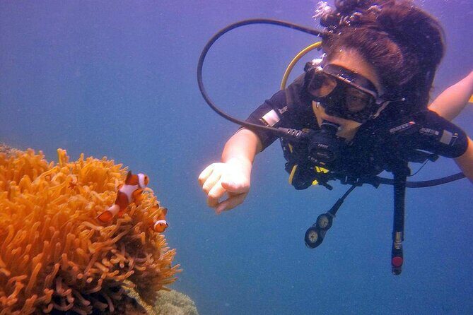 Mantanani Island Diving Paradise Tour from Kota Kinabalu - FAQs