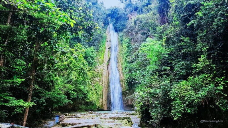 Mantayupan Falls & Moalboal: Snorkeling & Sardine Run Tour - Exploring Cebu’s Natural Wonders: Mantayupan Falls & Moalboal Snorkeling Tour