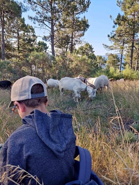 Manteigas: Serra da Estrela Shepherd Path Hike with Shepherd - A Natural Journey with a Local Shepherd
