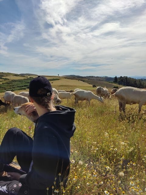 Manteigas: Serra da Estrela Shepherd Path Hike with Shepherd - Final Thoughts