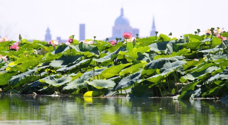 Mantova City Center and Ducal Palace: 3-Hour Guided Tour - Final Thoughts