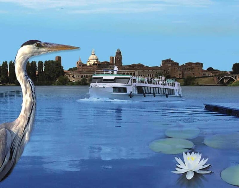 Mantua: from the water, lunch on the boat and guided visit to the city center - Key Points