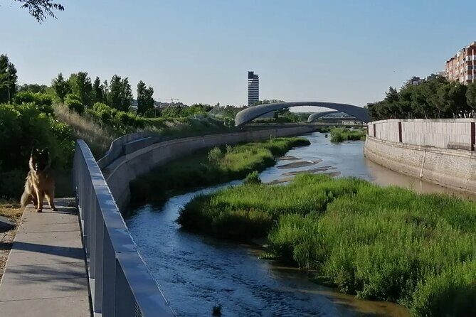 Manzanares Rivers Story: A Self-Guided Audio Tour in Madrid - An Introduction to the Tour: Why It’s Worth Your Time