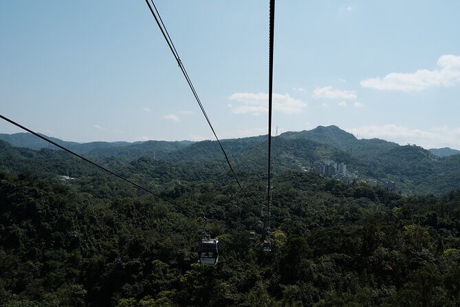 Maokong Gondola and Camphor Trail - A Practical Breakdown of the Tour