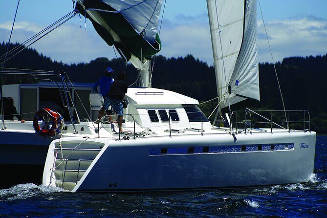 Maori Rock Carvings - Taupo Sailing Adventures -Tiua - Key Points