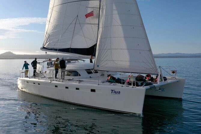 Maori Rock Carvings - Taupo Sailing Adventures -Tiua - What Sets This Tour Apart