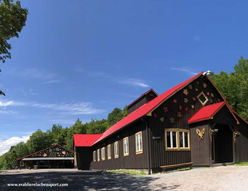 Maple Syrup Museum Tour with Tastings - An Overview of the Experience