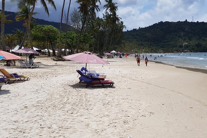 Maracas Beach - Easy and Comfortable Transportation
