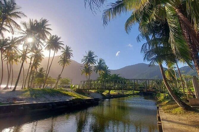 Maracas Beach Excursion & City Pass by tour - Authenticity and Safety