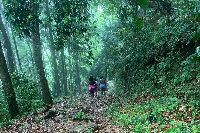 Maracas Waterfall - Key Points