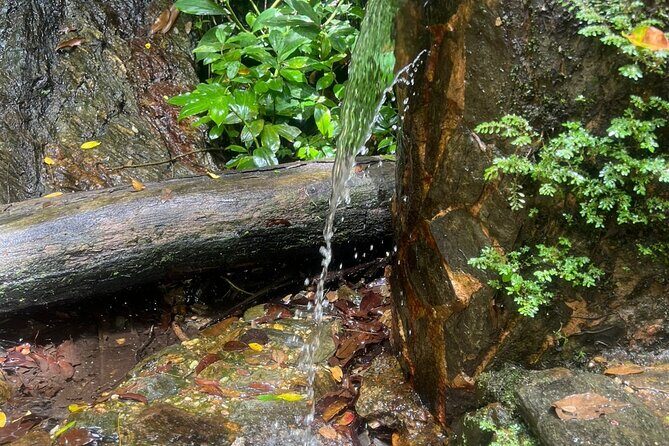 Maracas Waterfall - Final Thoughts