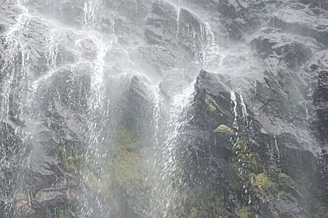 Maracas Waterfall Hike - An In-Depth Look at the Maracas Waterfall Hike