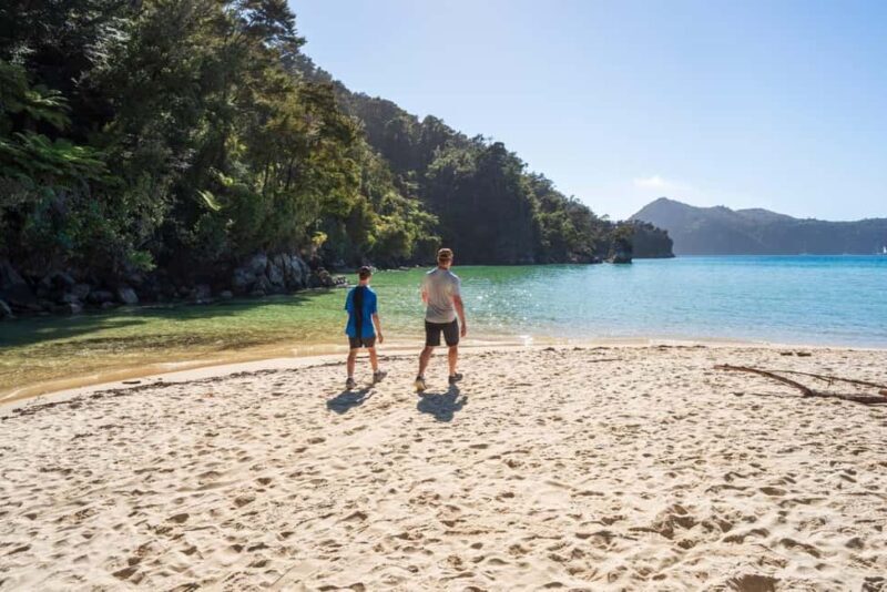 Marahau: Abel Tasman Kayaks Kayak and Walk - Introduction: A Day of Kayaking and Coastal Walking in Abel Tasman