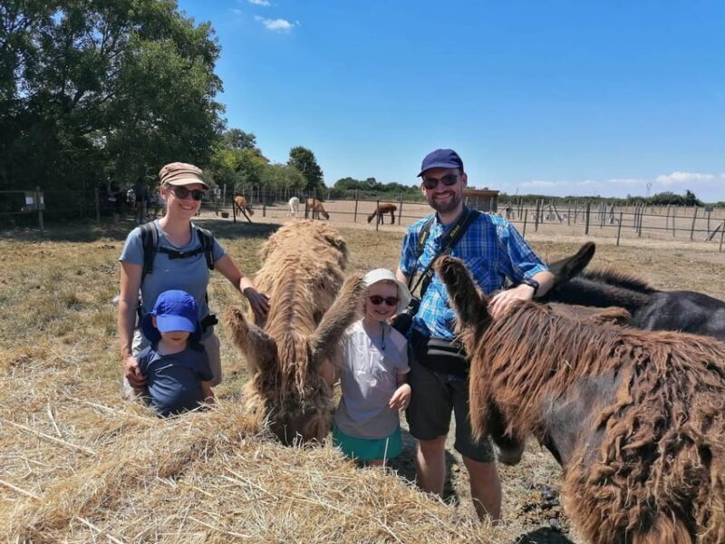 Marais Poitevin: Discovery day in the footsteps of the Baudet - Discovering the Charm of the Marais Poitevin