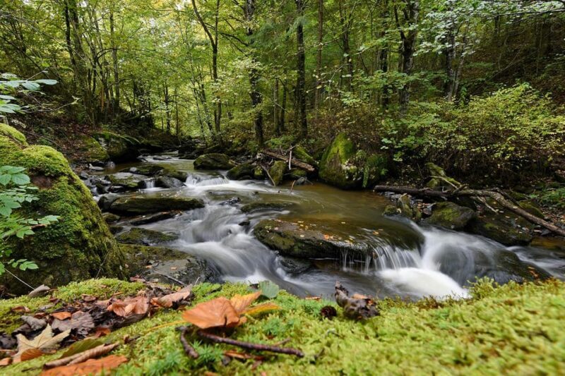 Maramure Mountain Trail - What Makes This Tour Stand Out