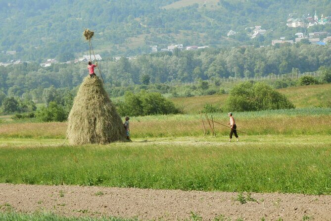 Maramures Day Tour (trip start in Bucovina, end in Sighetu M.) - FAQ