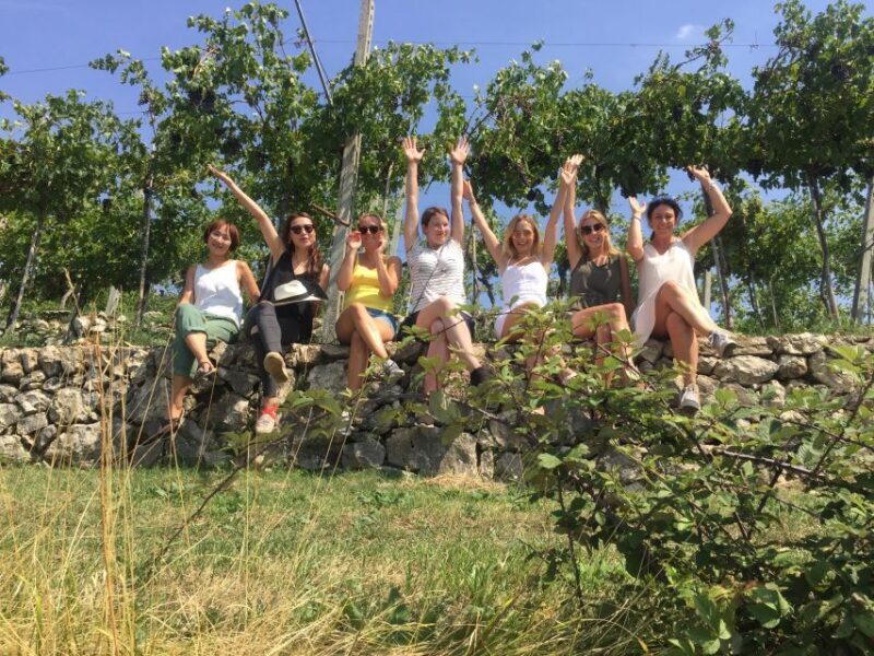 Marano di Valpolicella: DOP Olive Oil Tasting Experience - An In-Depth Look at the Olive Oil Tasting Experience