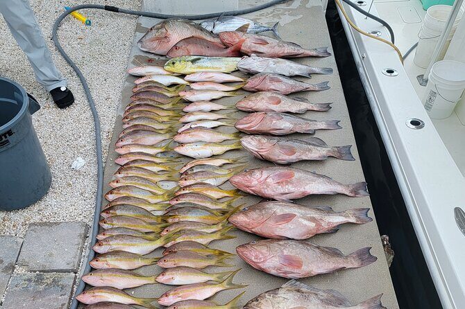 Marathon Florida Keys Fishing Experience - FAQ