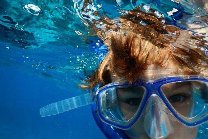 Marathon Key: 3-hour Snorkeling adventure on a Pontoon at Sombrero Reef - The Marine Life and Underwater Highlights