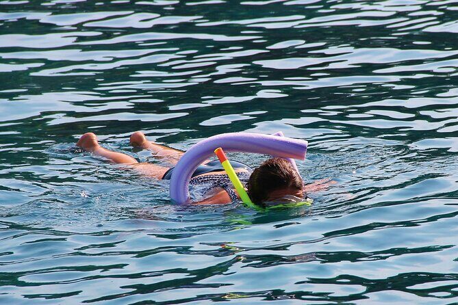 Marathon Key: 3-hour Snorkeling adventure on a Pontoon at Sombrero Reef - Value, Pricing, and What You Get