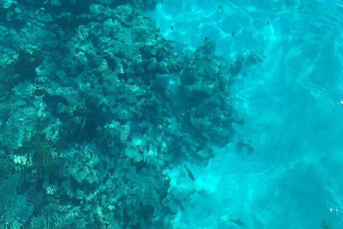 Marathon Sombrero Reef Snorkeling and Sandbar Swim - What Do Travelers Say?