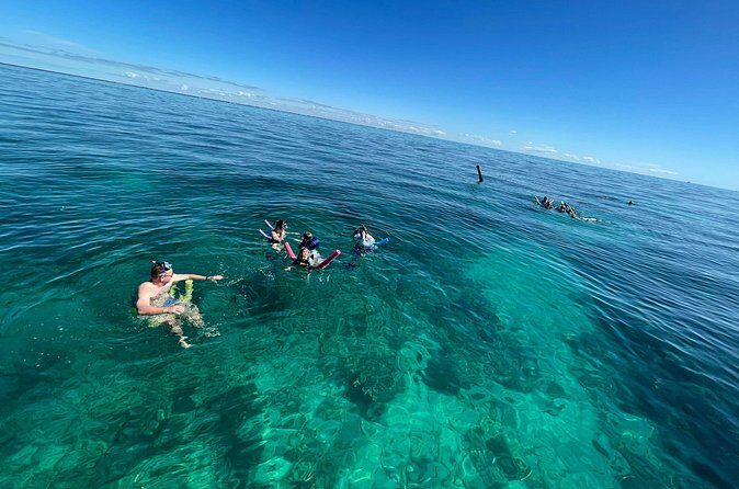 Marathon Sombrero Reef Snorkeling and Sandbar Swim - Who Should Consider This Tour?