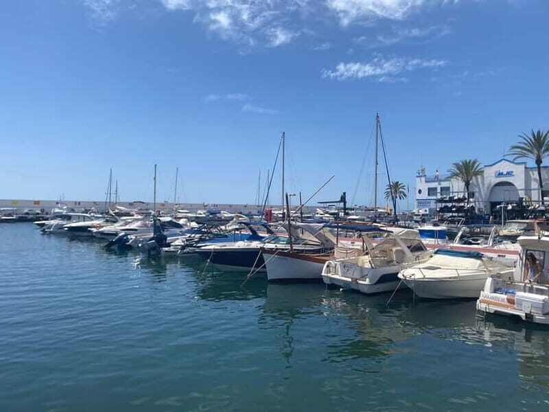Marbella: City tour of Marbella City / Old Town incl. breakfast Stop - The Sum Up