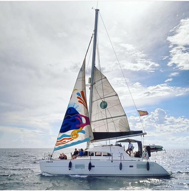 Marbella: Group Dolphin Watching Catamaran Tour with Drinks - What to Expect on Your Marbella Dolphin-Watching Trip