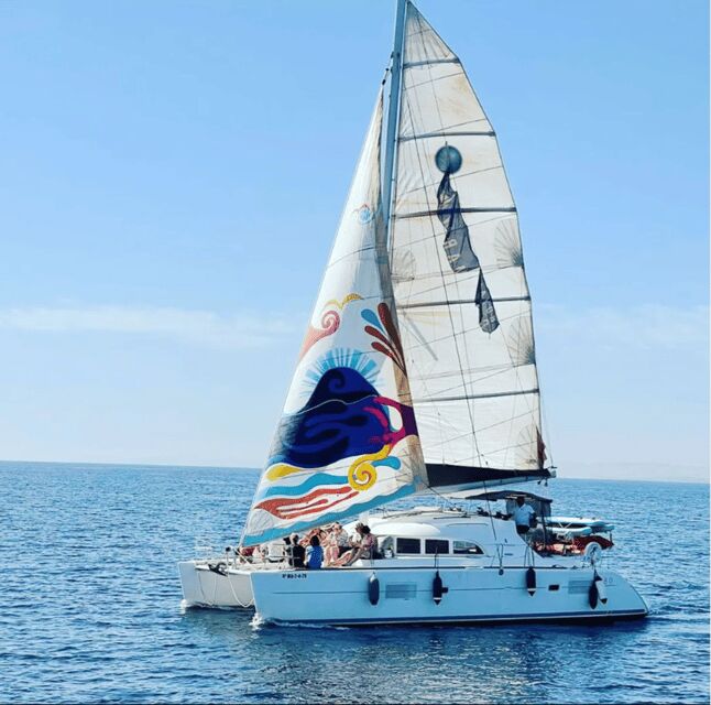 Marbella: Group Dolphin Watching Catamaran Tour with Drinks - The Experiences Drawbacks