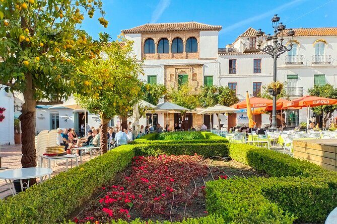 Marbella: group walking Tour - Why This Tour Offers Great Value