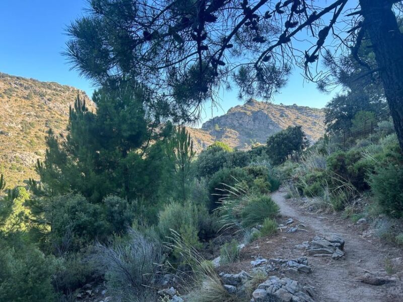 Marbella: "La Concha" mountain tour including snack and drink - Exploring the La Concha Mountain Tour in Detail