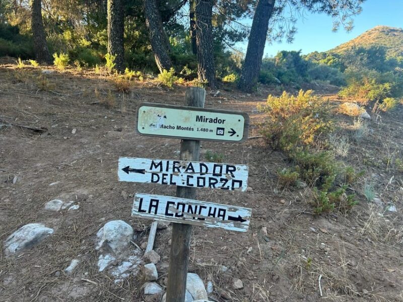 Marbella: "La Concha" mountain tour including snack and drink - Final Thoughts: Why Pick This Tour?