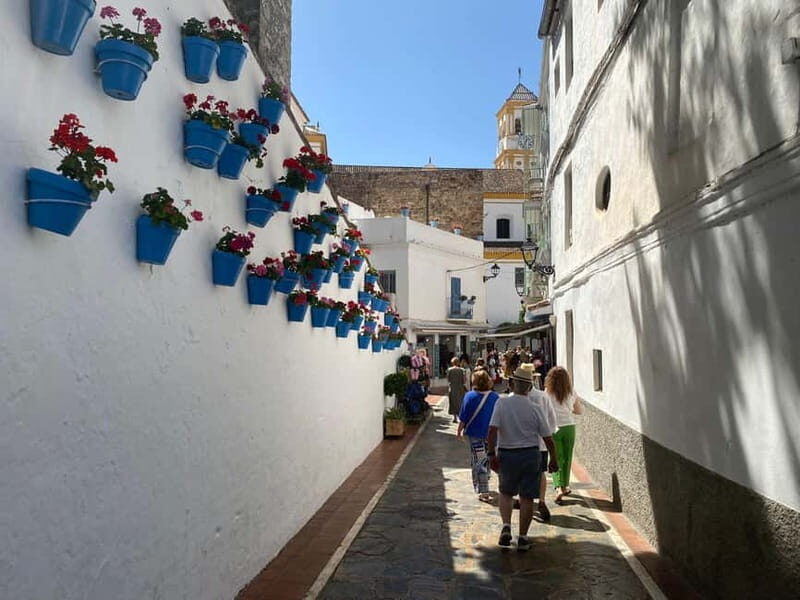 Marbella: Private guided city tour with tapas tasting - The Value and Practical Aspects