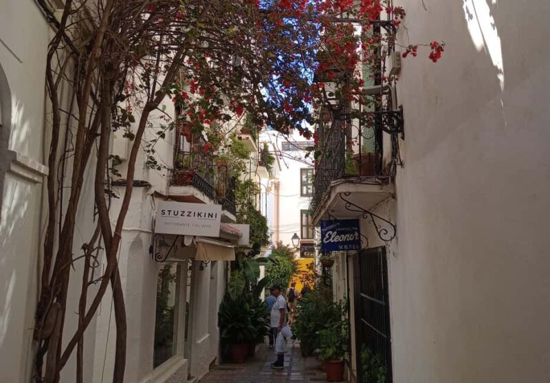 Marbella: Private Tour of the Historic Center - Final Thoughts: Is It Worth It?