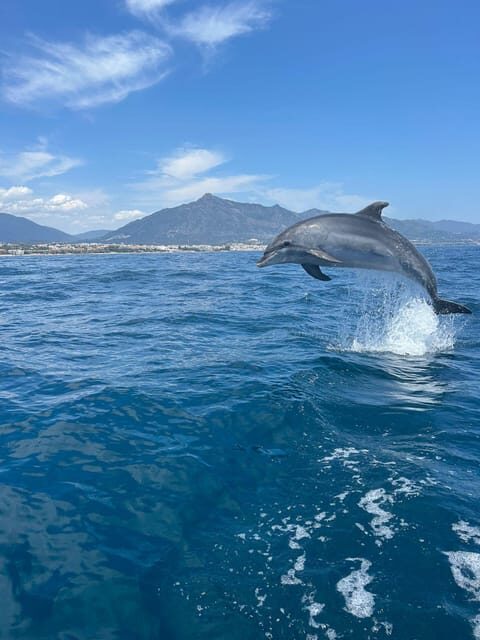 Marbella: Sailing & Dolphin Watching with Snacks and Drinks - Departure and Meeting Point