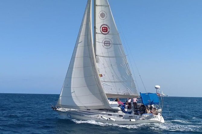 Marbella Sailing Experience - What the Reviews Say