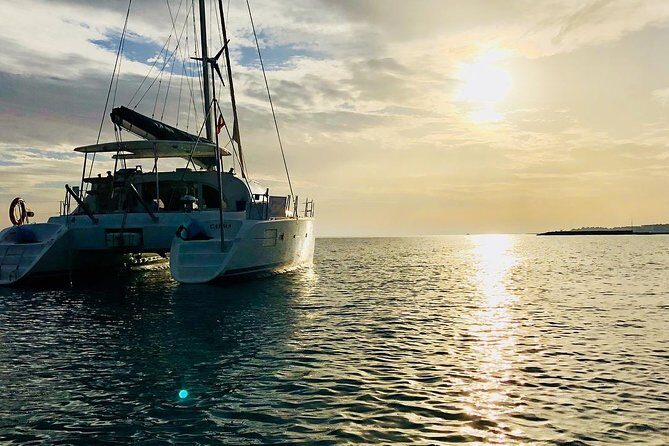 Marbella Small Group Catamaran with Dolphin Watching - Practical Considerations and Value