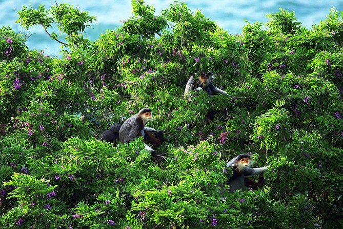 Marble mountain, Am Phu cave and Monkey mountains group tour - The Sum Up