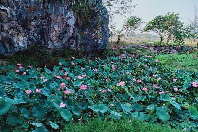 Marble mountain - Am Phu Cave - Monkey mountains in the afternoon - Who Should Consider This Tour?